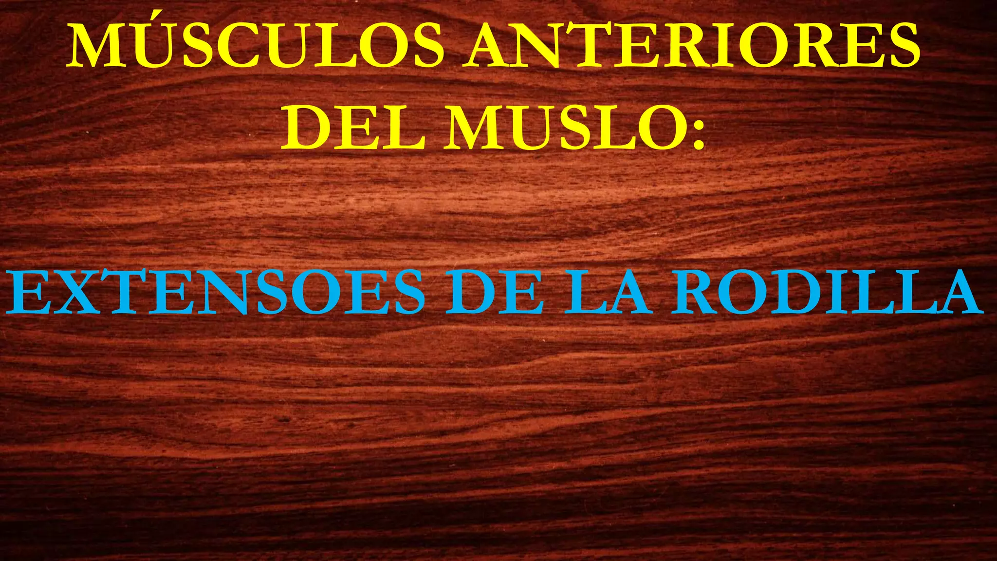 MUSCULOS DEL COMPARTIMENTO ANTERIOR DEL MUSLO. ANATOMÍA | PPT