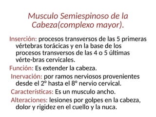 Anatomía Humana. Músculos del Cuello.pptx