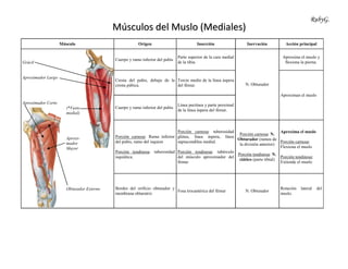 Musculos del muslo (Anteriores), inserciones | PDF