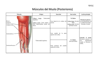 Musculos del muslo (Anteriores), inserciones | PDF