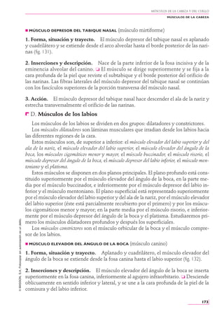 MUSCULOS DE LA CABEZA, MUSCULOS DE LOS LABIOS | PDF