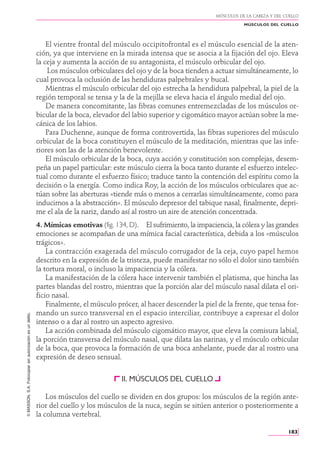 MUSCULOS DE LA CABEZA, MUSCULOS DE LOS LABIOS | PDF