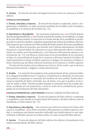 MUSCULOS DE LA CABEZA, MUSCULOS DE LOS LABIOS | PDF