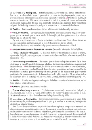 MUSCULOS DE LA CABEZA, MUSCULOS DE LOS LABIOS | PDF