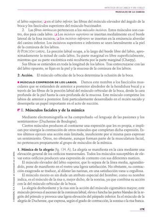 MUSCULOS DE LA CABEZA, MUSCULOS DE LOS LABIOS | PDF
