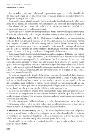 MUSCULOS DE LA CABEZA, MUSCULOS DE LOS LABIOS | PDF