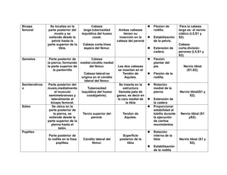 Músculos de Miembros Inferiores Cuadro.docx