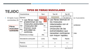 MÚSCULOS GENERALIDADES UNIVERSIDAD 2.pptx