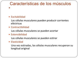 Músculos y ejercicio | PPTX
