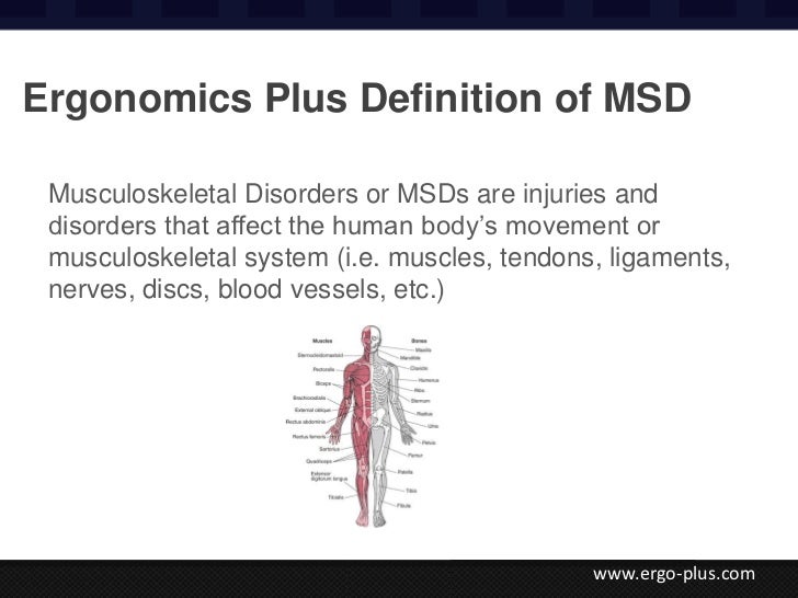 What Is A Musculoskeletal Disorder (Msd) at Jane Shepherd blog