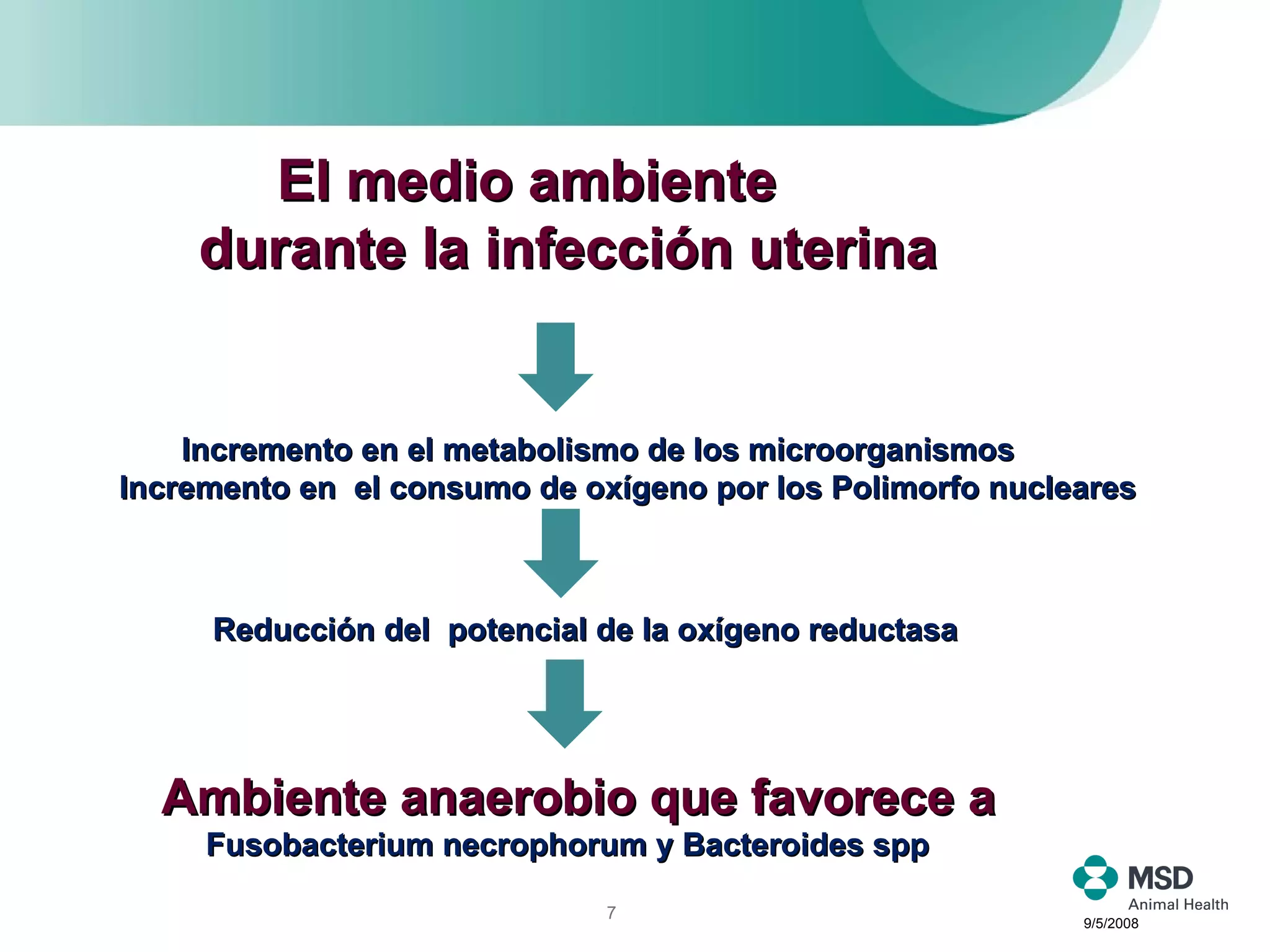 Msd manejo farmacológico de la metritis y endometritis bovina fp | PPT