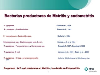 Msd manejo farmacológico de la metritis y endometritis bovina fp | PPT