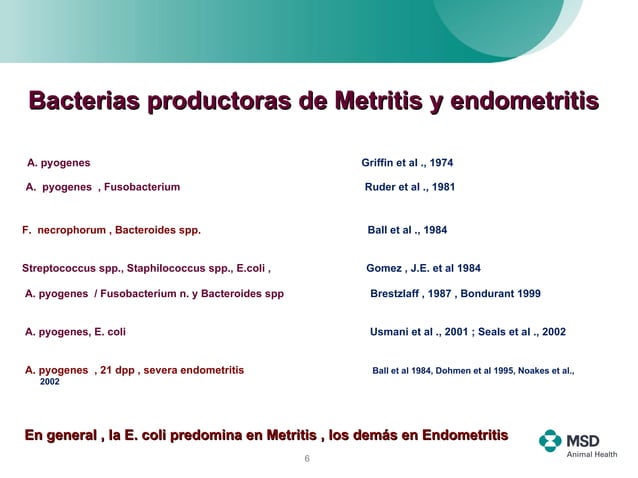 Msd manejo farmacológico de la metritis y endometritis bovina fp | PPT