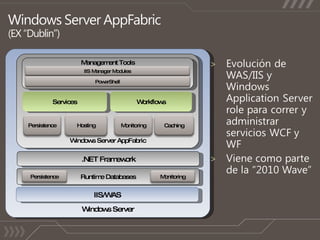 Msdn Workflow Services And Windows Server App Fabric | PPT
