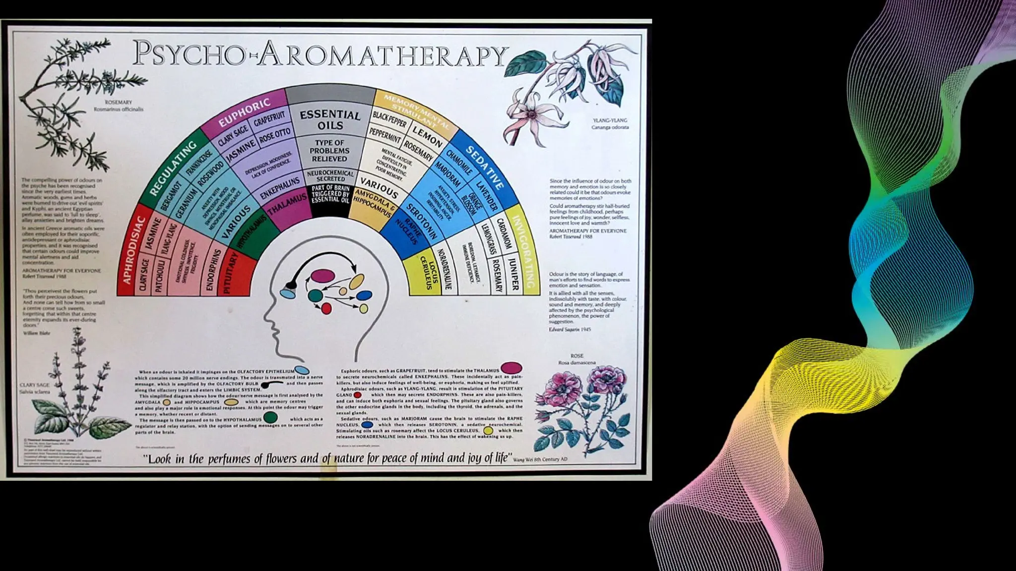 Multi Sensorial Design in Retail. Prospect | PPT