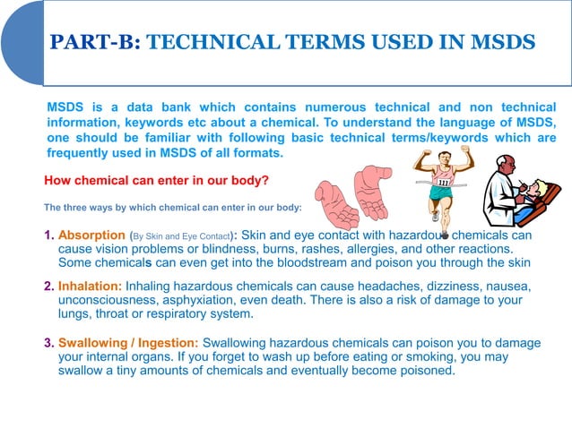 MSDS Presentation | PPSX | Chemistry | Science