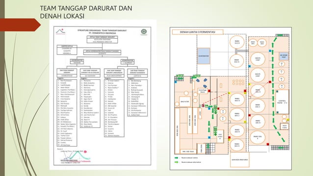 MSDS (Material Safety Data Sheet) NH3 (Amonia) | PPTX