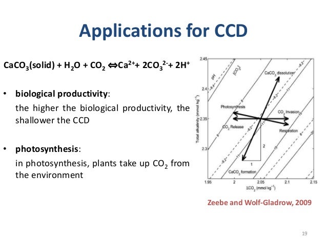 Carbonate compensation depth (CCD): Thermodynamics_Radwan