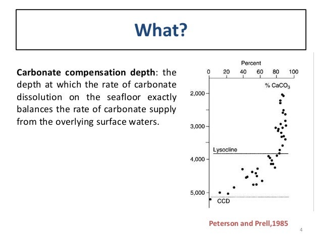 Carbonate compensation depth (CCD): Thermodynamics_Radwan