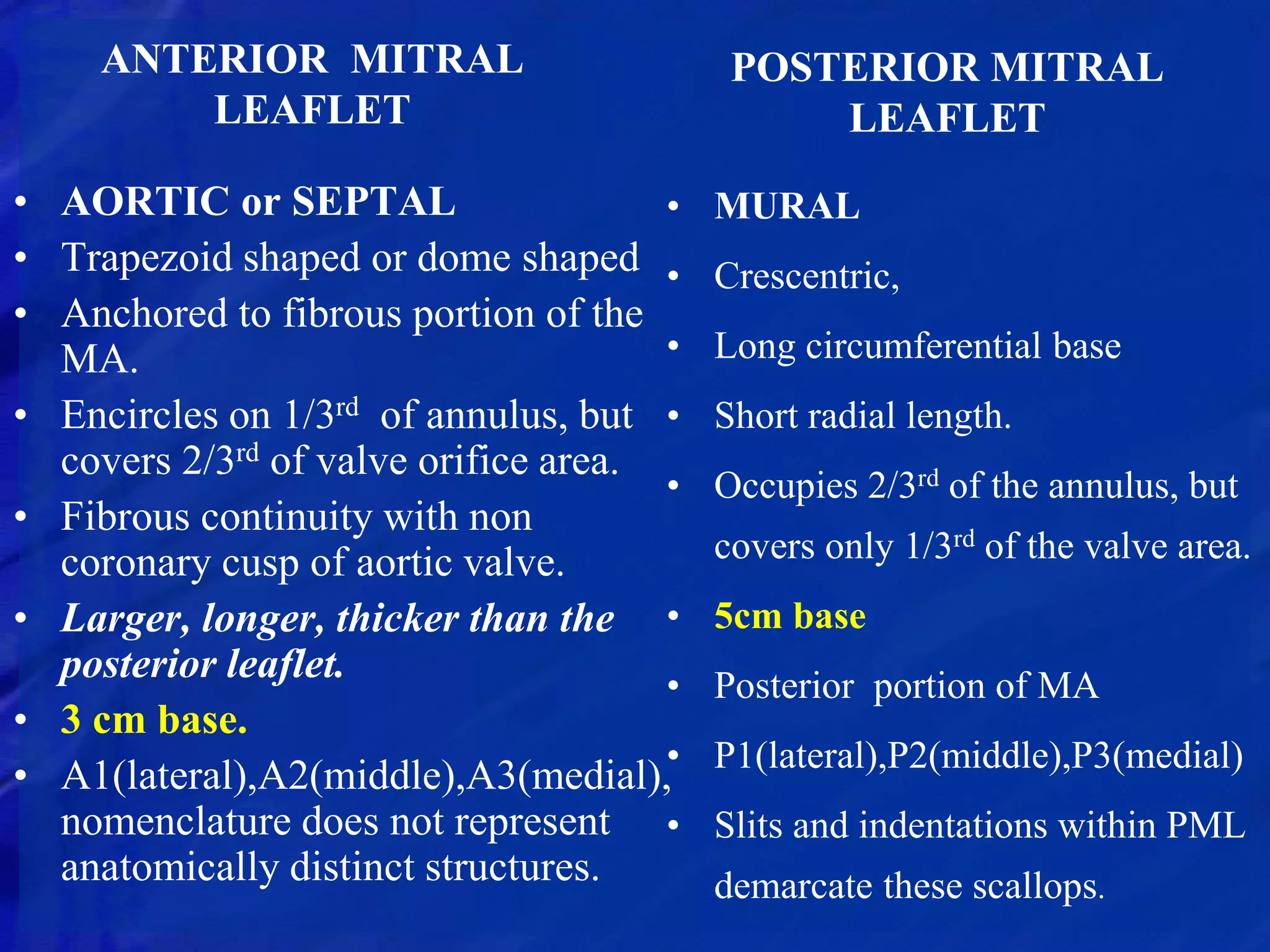 ECHOCARDIOGRAPHIC EVALUATION OF MITRAL VALVE DISEASE | PPTX