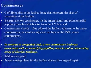 ECHOCARDIOGRAPHIC EVALUATION OF MITRAL VALVE DISEASE | PPTX