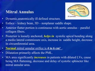 ECHOCARDIOGRAPHIC EVALUATION OF MITRAL VALVE DISEASE | PPTX