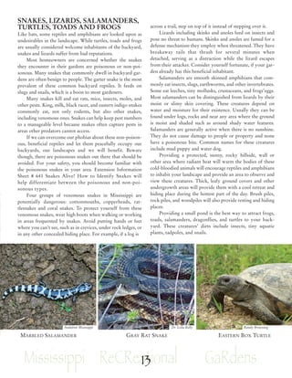 MS: Establishing a Backyard Wildlife Habitat | PDF