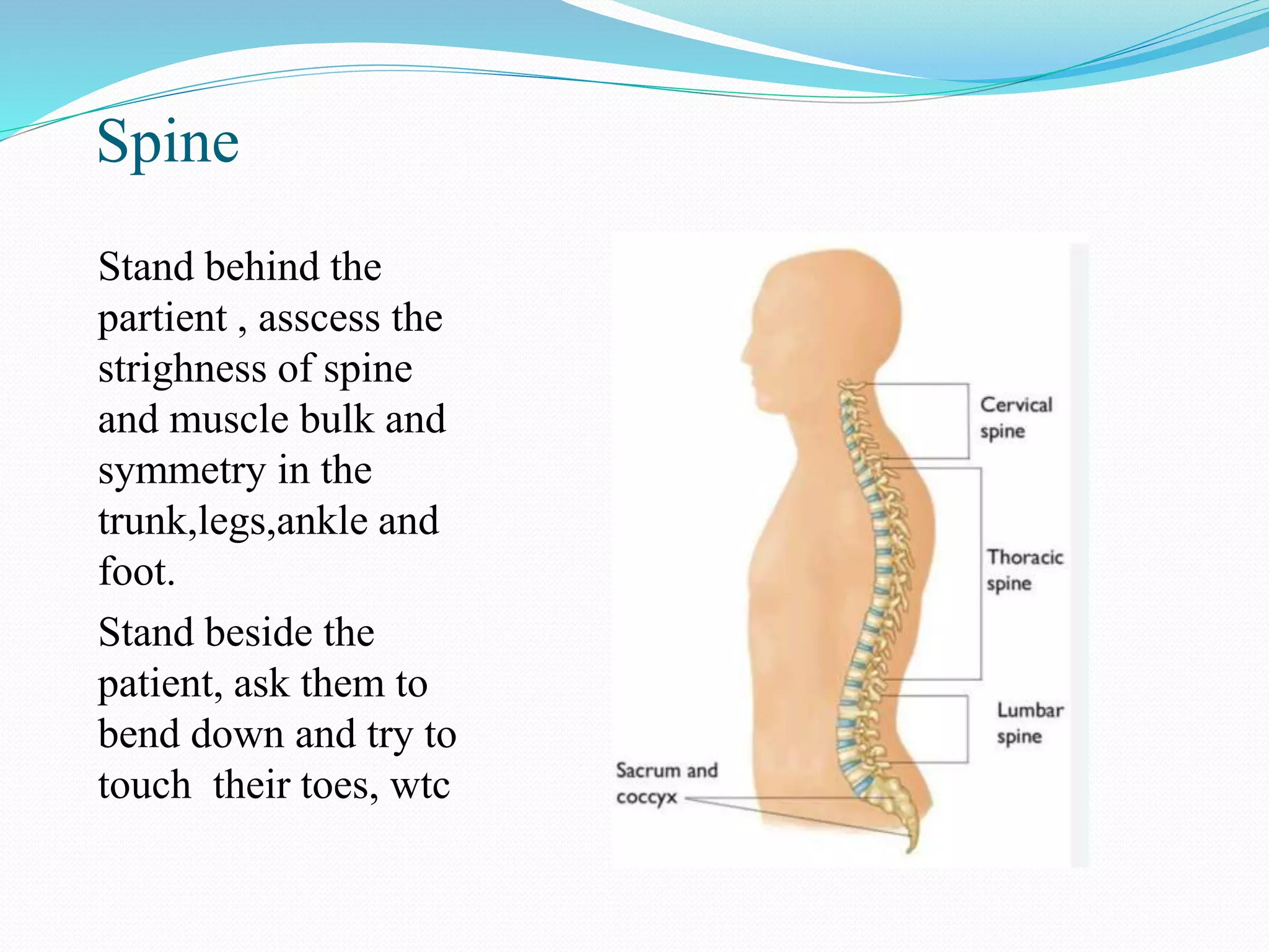 Musculoskeletal examination | PPTX
