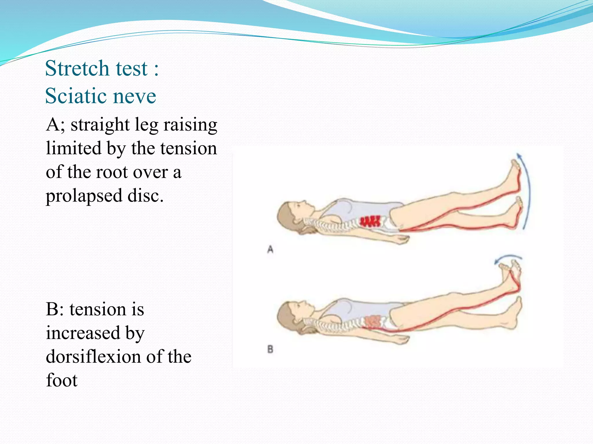 Musculoskeletal examination | PPTX