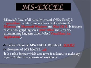 MS-EXCEL Assignment Help | PPTX