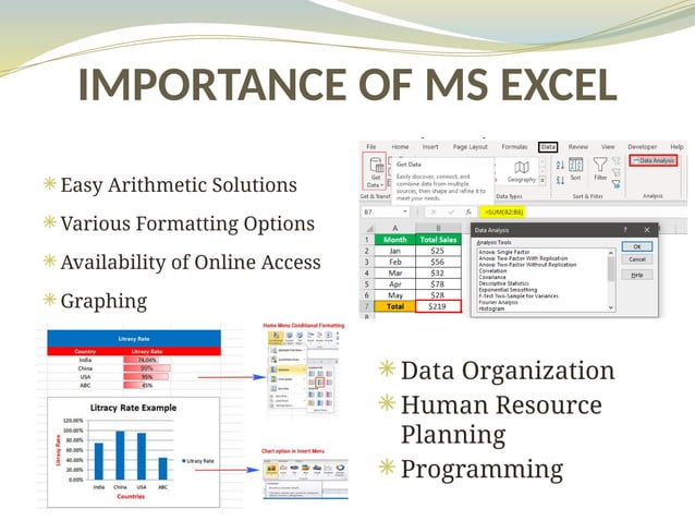msexcel-211205072025 spreadsheet with formula.pptx