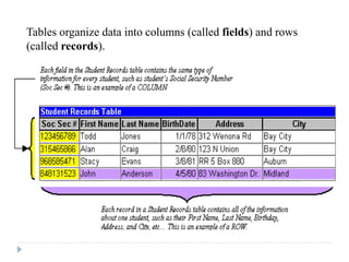 Ms access basics ppt | PPTX
