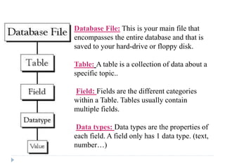 Ms access basics ppt | PPTX