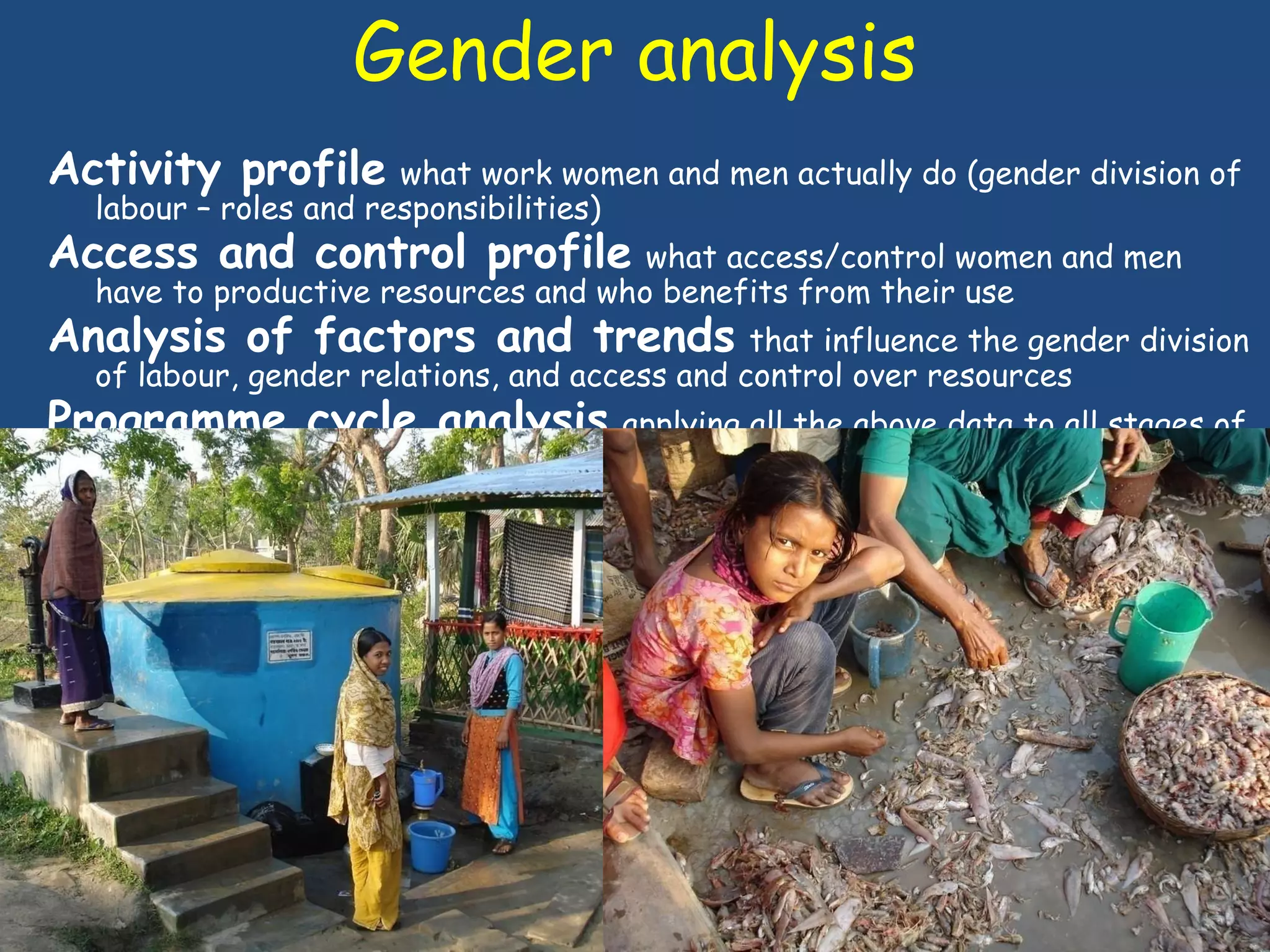 Msf Project Management Bridget Steffen | PPT