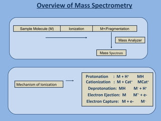 Ms fragmentation | PPT
