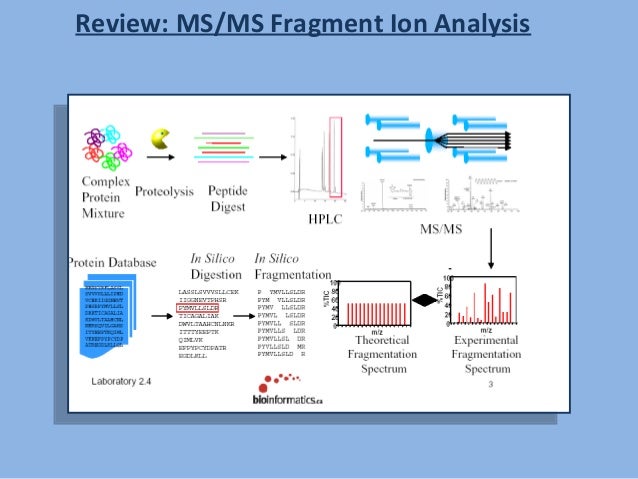 Ms fragmentation