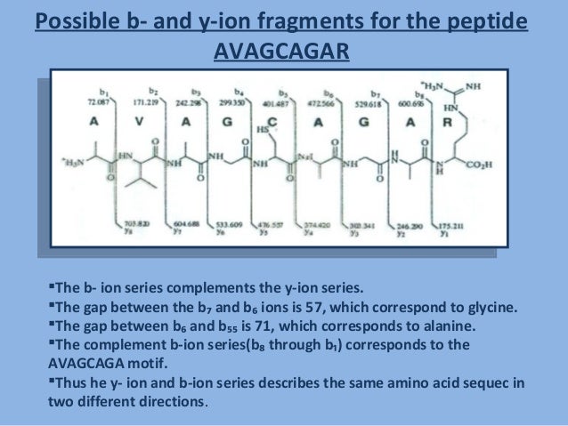 Ms fragmentation