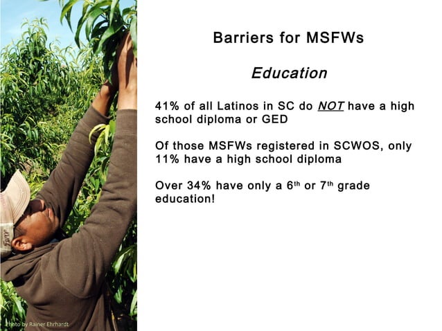 Migrant and Seasonal Farmworkers | PPT | Agriculture | Industries
