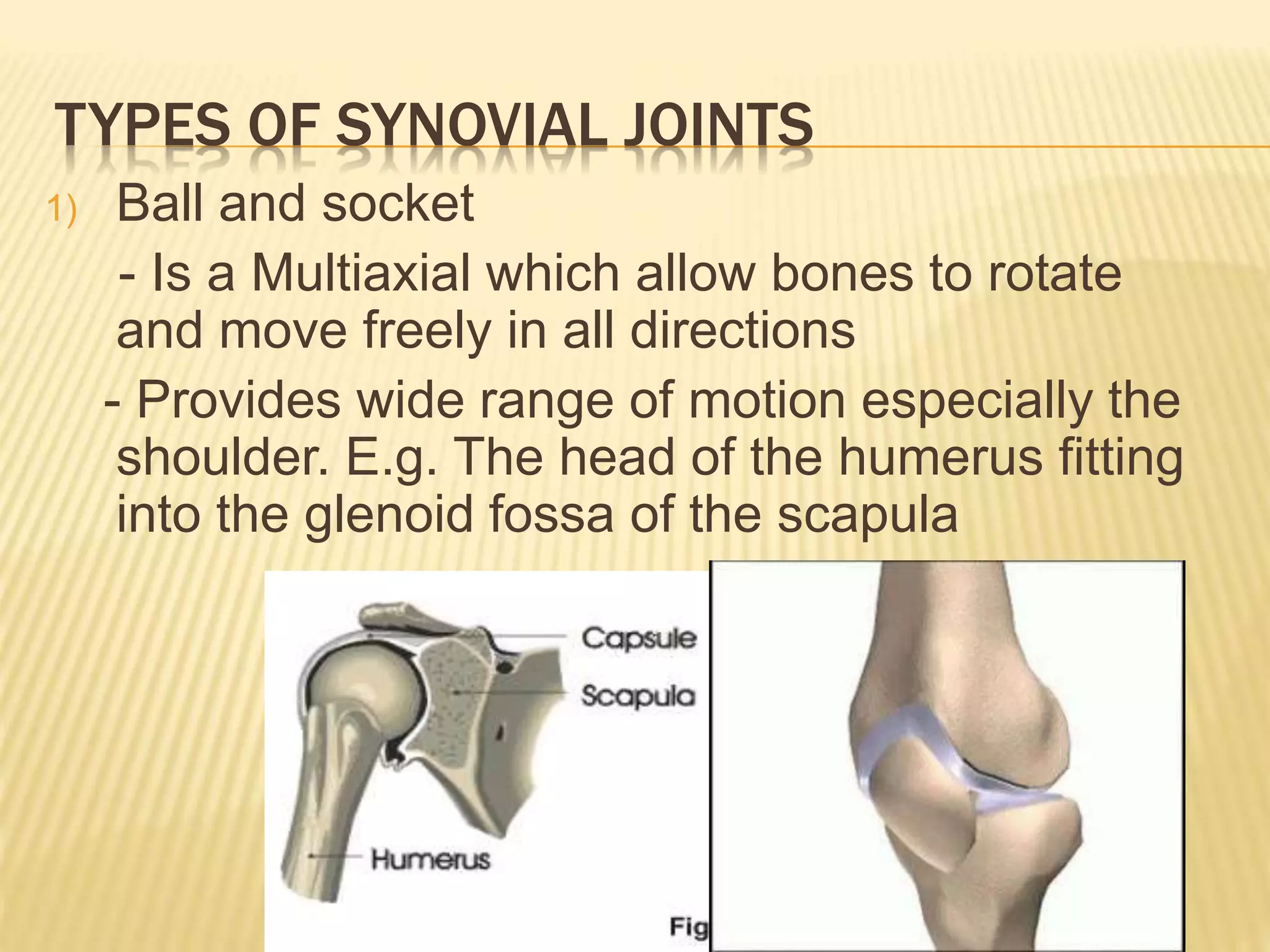 ANATOMY & PHYSIOLOGY OF JOINT | PPTX