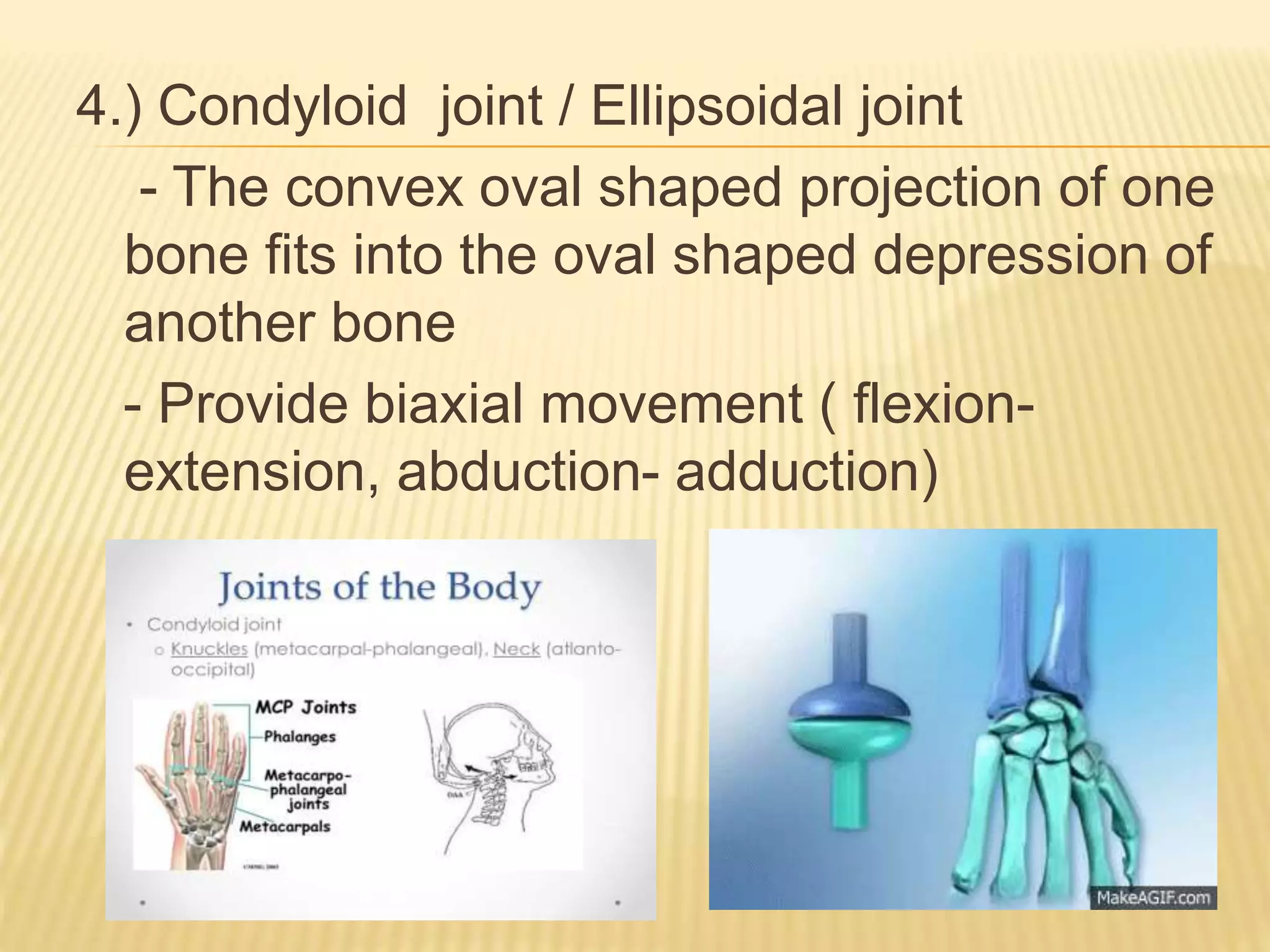ANATOMY & PHYSIOLOGY OF JOINT | PPTX