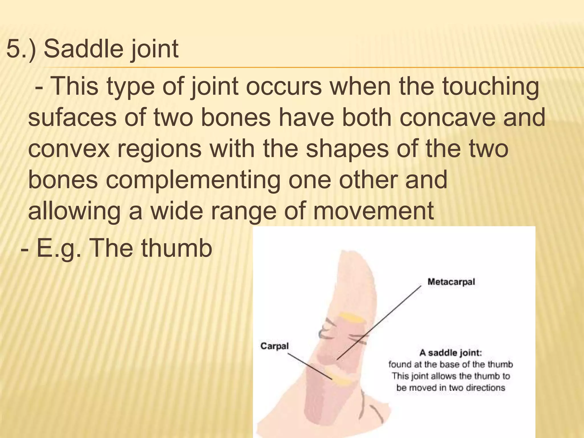 ANATOMY & PHYSIOLOGY OF JOINT | PPTX