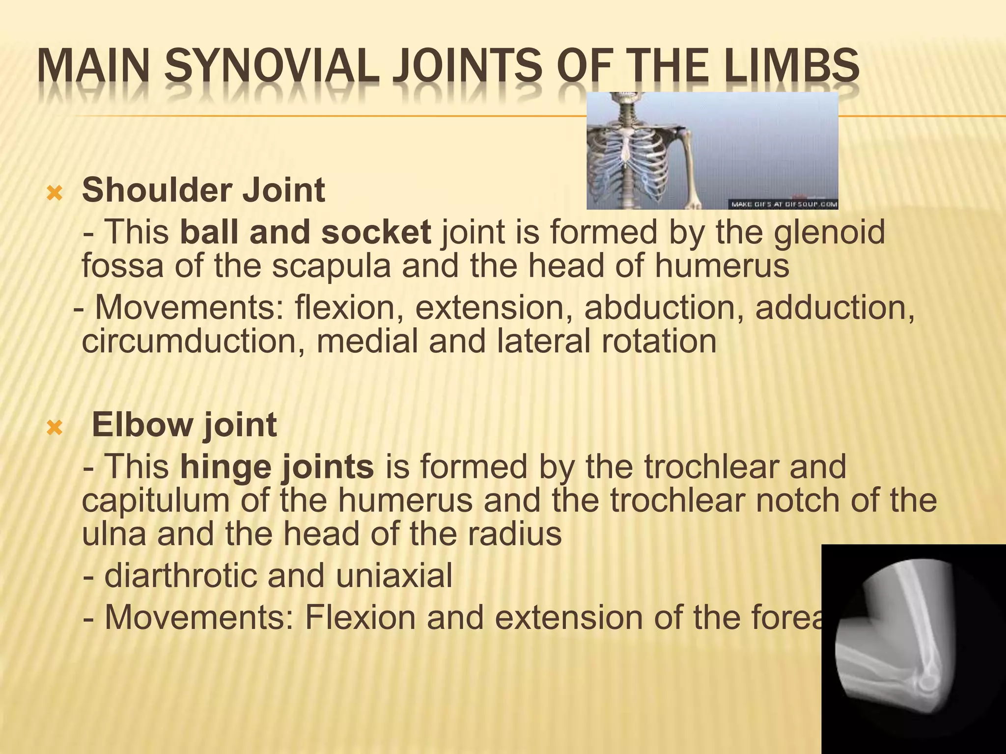 ANATOMY & PHYSIOLOGY OF JOINT | PPTX | Death, Injury, or Military ...