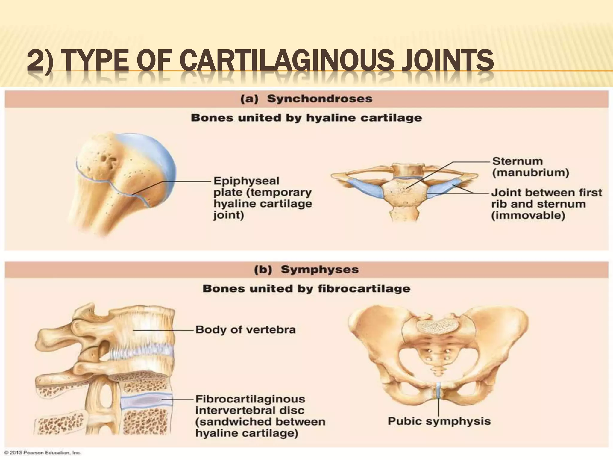 ANATOMY & PHYSIOLOGY OF JOINT | PPTX
