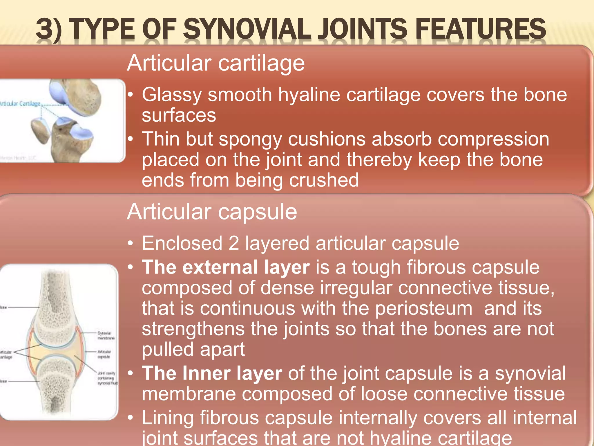 ANATOMY & PHYSIOLOGY OF JOINT | PPTX