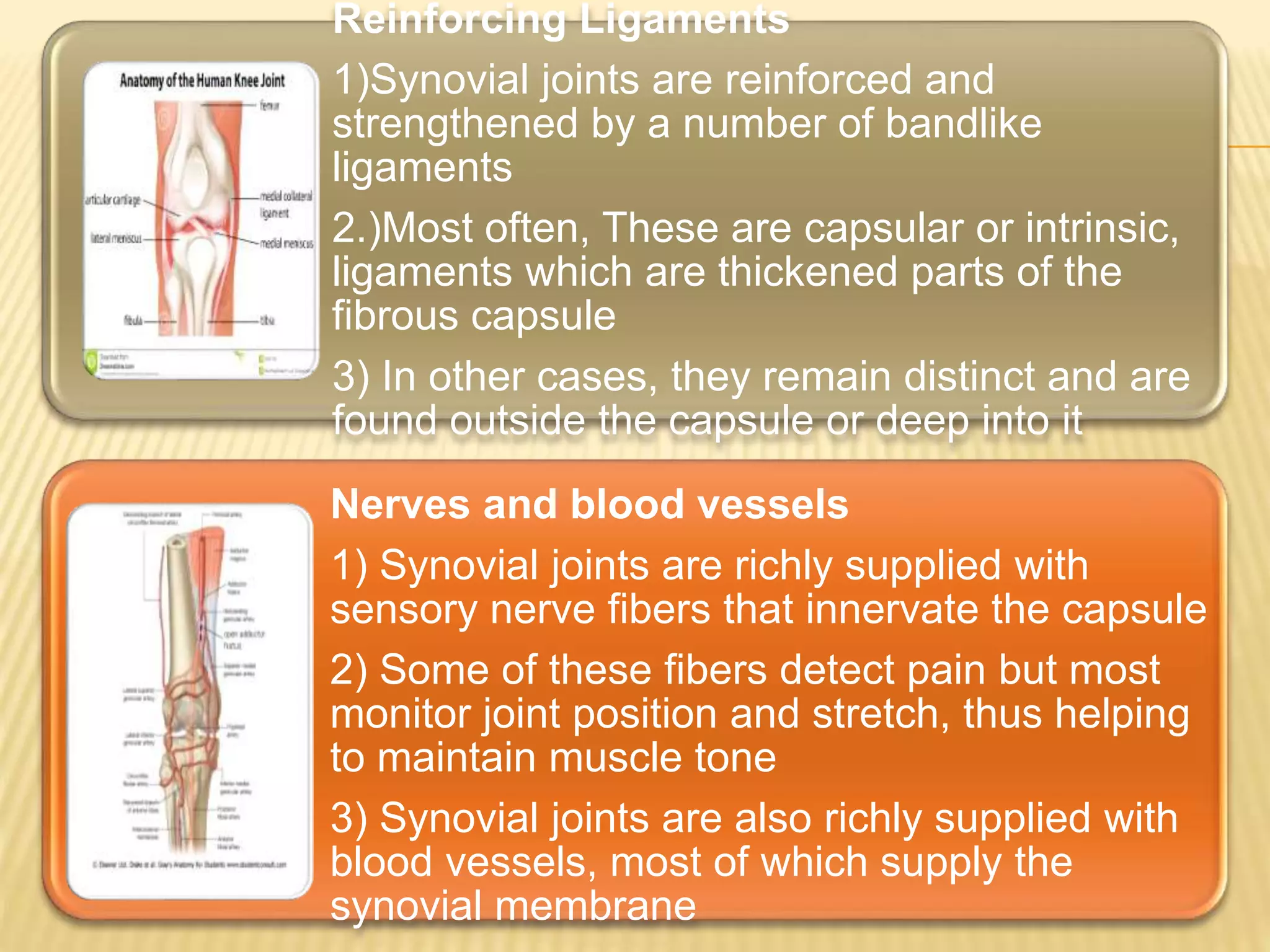 ANATOMY & PHYSIOLOGY OF JOINT | PPTX