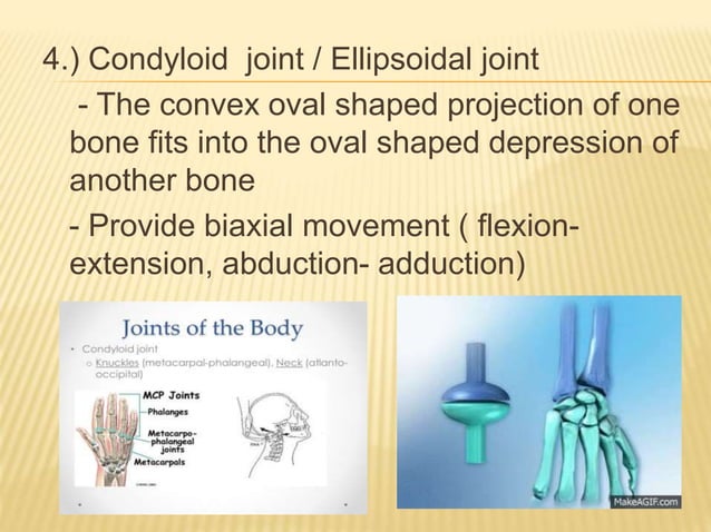 ANATOMY & PHYSIOLOGY OF JOINT | PPTX | Death, Injury, or Military ...