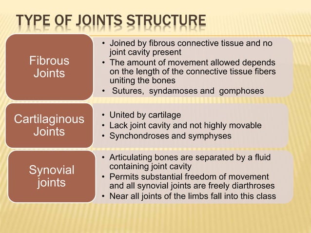 ANATOMY & PHYSIOLOGY OF JOINT | PPTX | Death, Injury, or Military ...