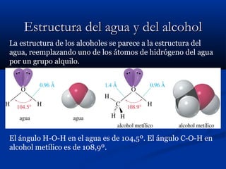 Msho fisiologia alcoholes y glicoles equipo tec generacion 72 | PPT