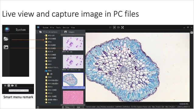 Mshot microscope imaging analysis software introduction | PDF