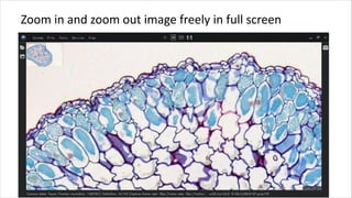 Mshot microscope imaging analysis software introduction | PDF